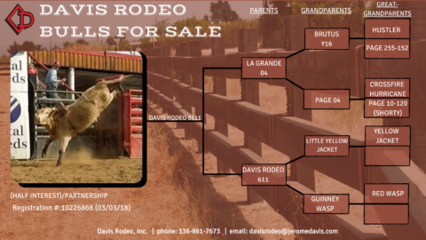Bulls For Sale | Jerome Davis